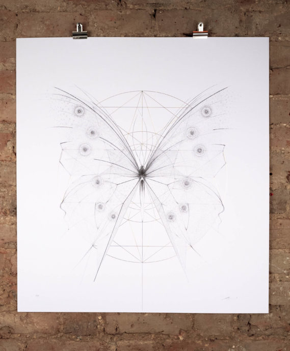 Morpho Butterfly – Gold Geometry by Jessica Albarn - Nelly Duff