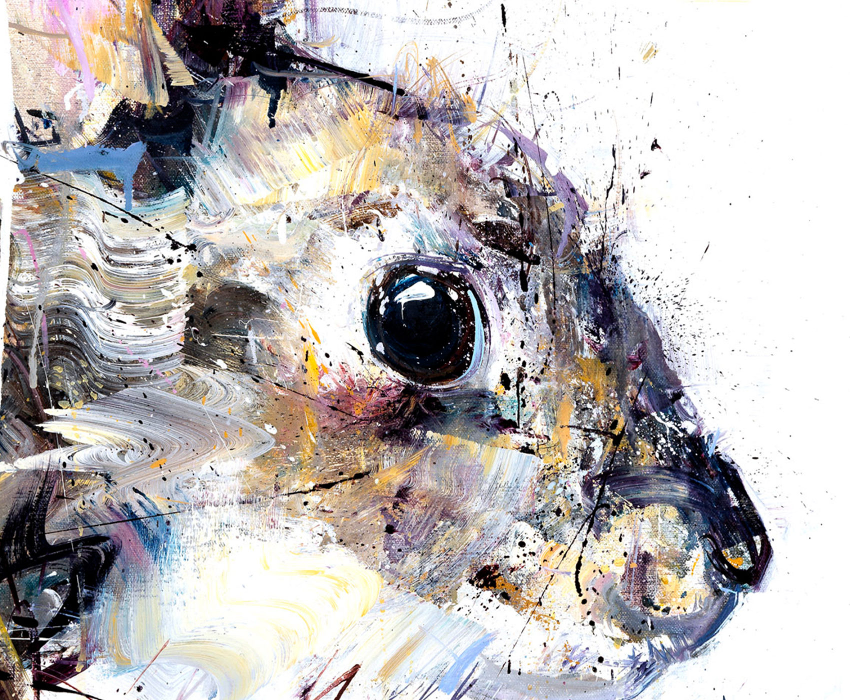 Rabbit I by Dave White - Nelly Duff