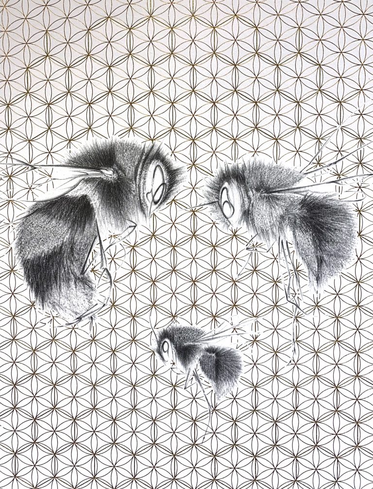 Bee Gees by Jessica Albarn - Nelly Duff