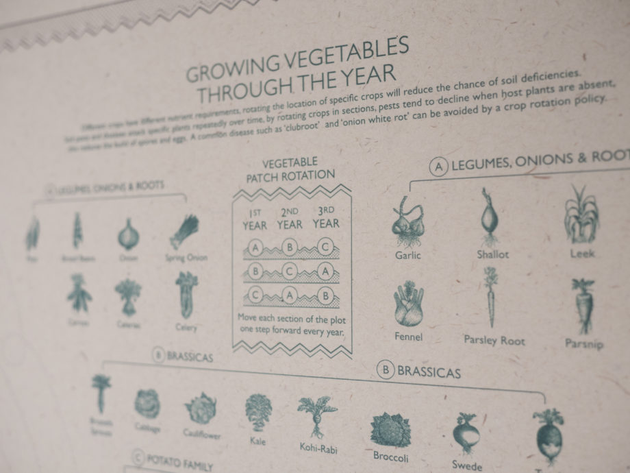 Planting the Seed Roasted Parsnip - Silver by Ian McDonnell - Nelly Duff