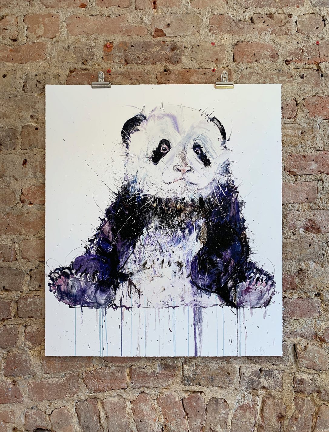 Young Panda II by Dave White - Nelly Duff