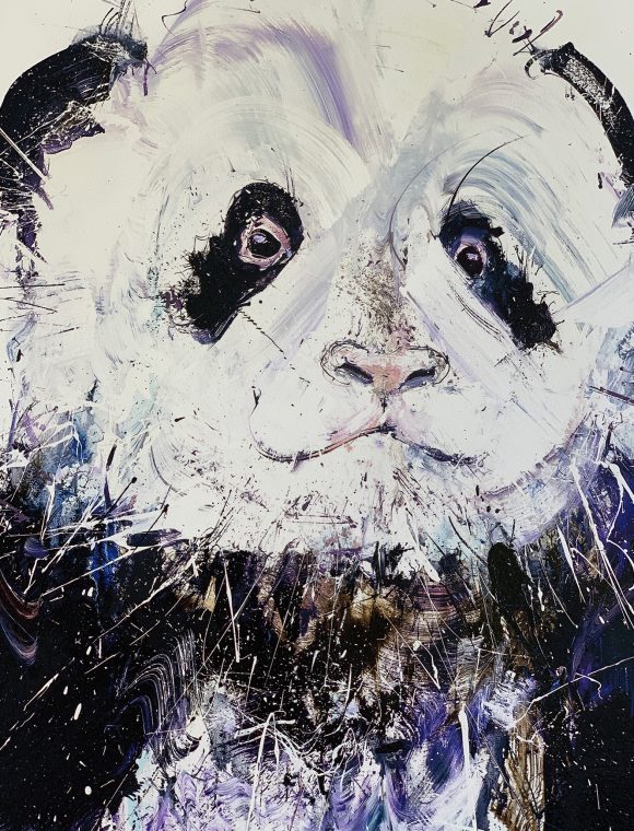 Young Panda II by Dave White - Nelly Duff