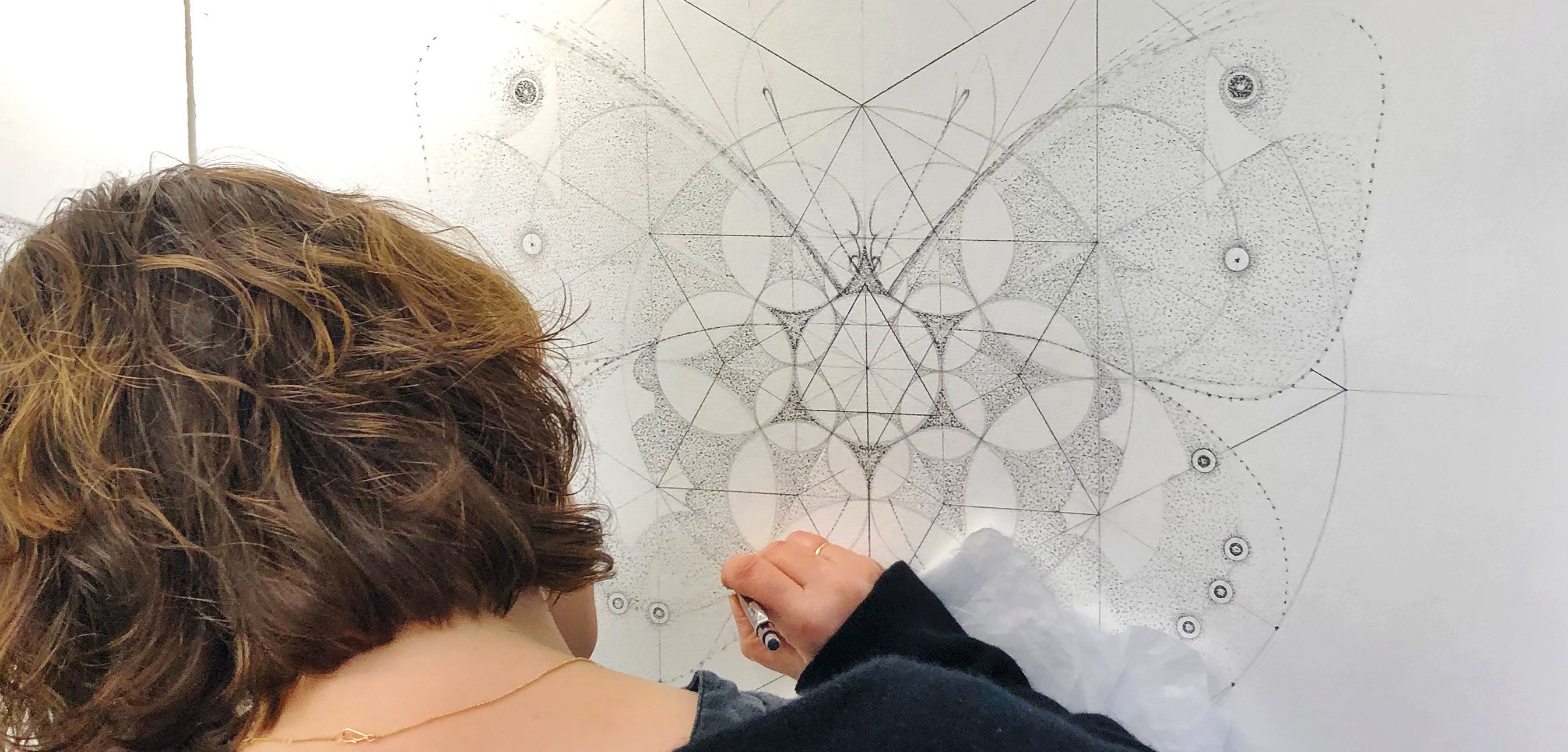 Jessica Albarn's 'Dust to Dust - Endangered Butterfly Triptych' 2019 ...