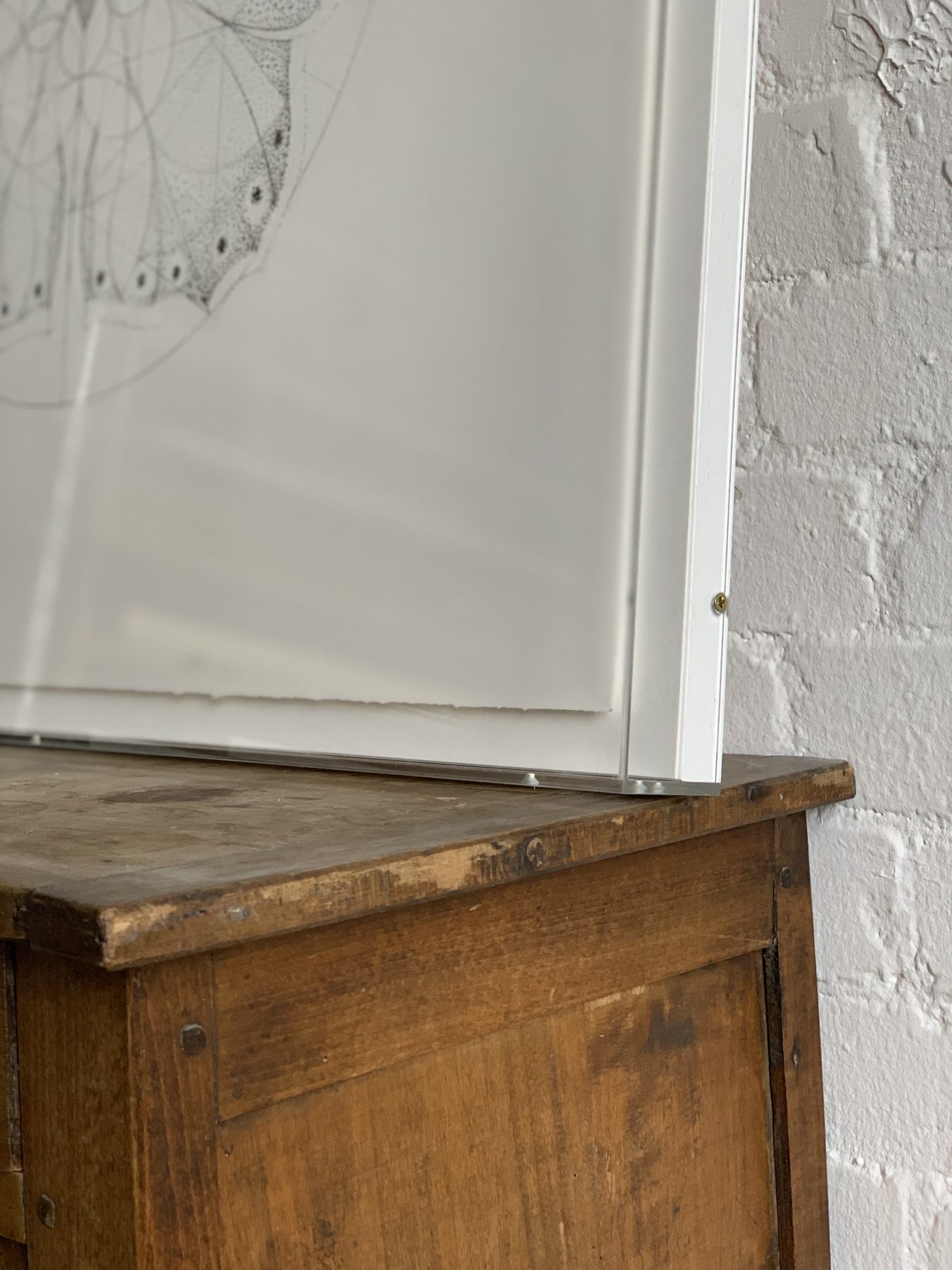 Jessica Albarn's 'Dust to Dust - Endangered Butterfly Triptych' 2019 ...