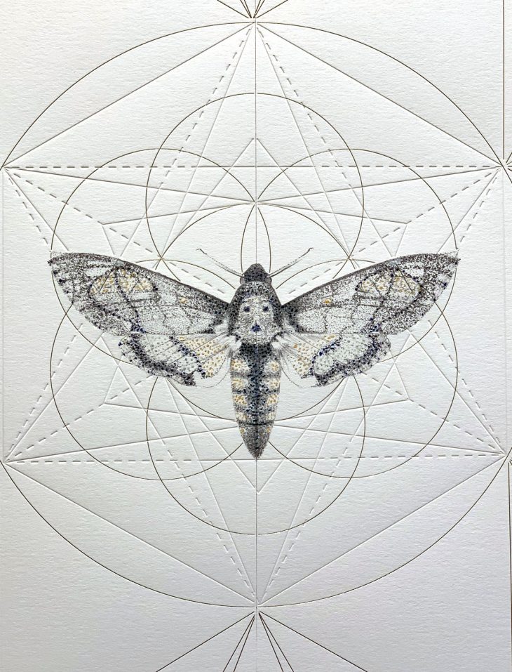 Jessica Albarn Art For Sale - Originals & Prints | Nelly Duff, London