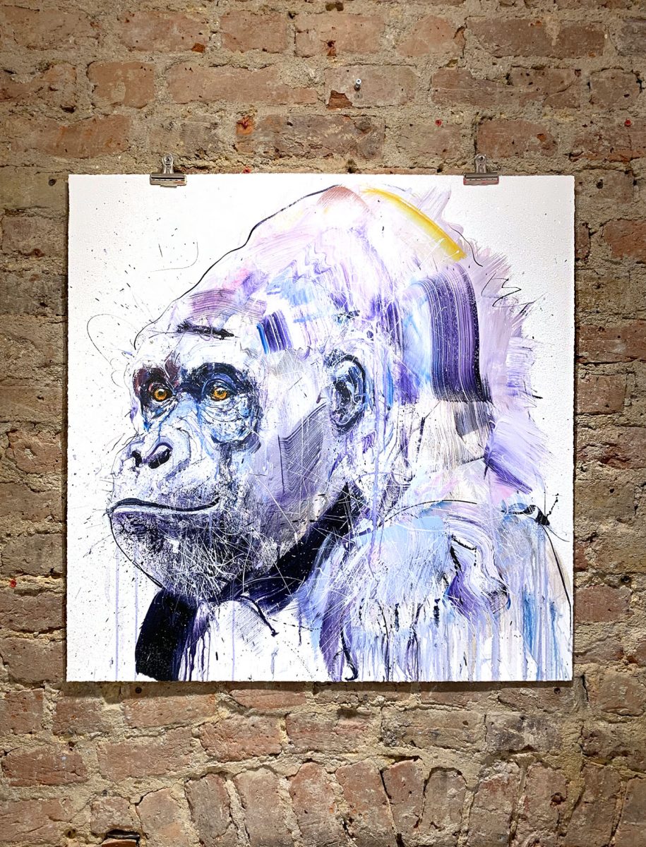 Silverback VII - Diamond Dust by Dave White - Nelly Duff