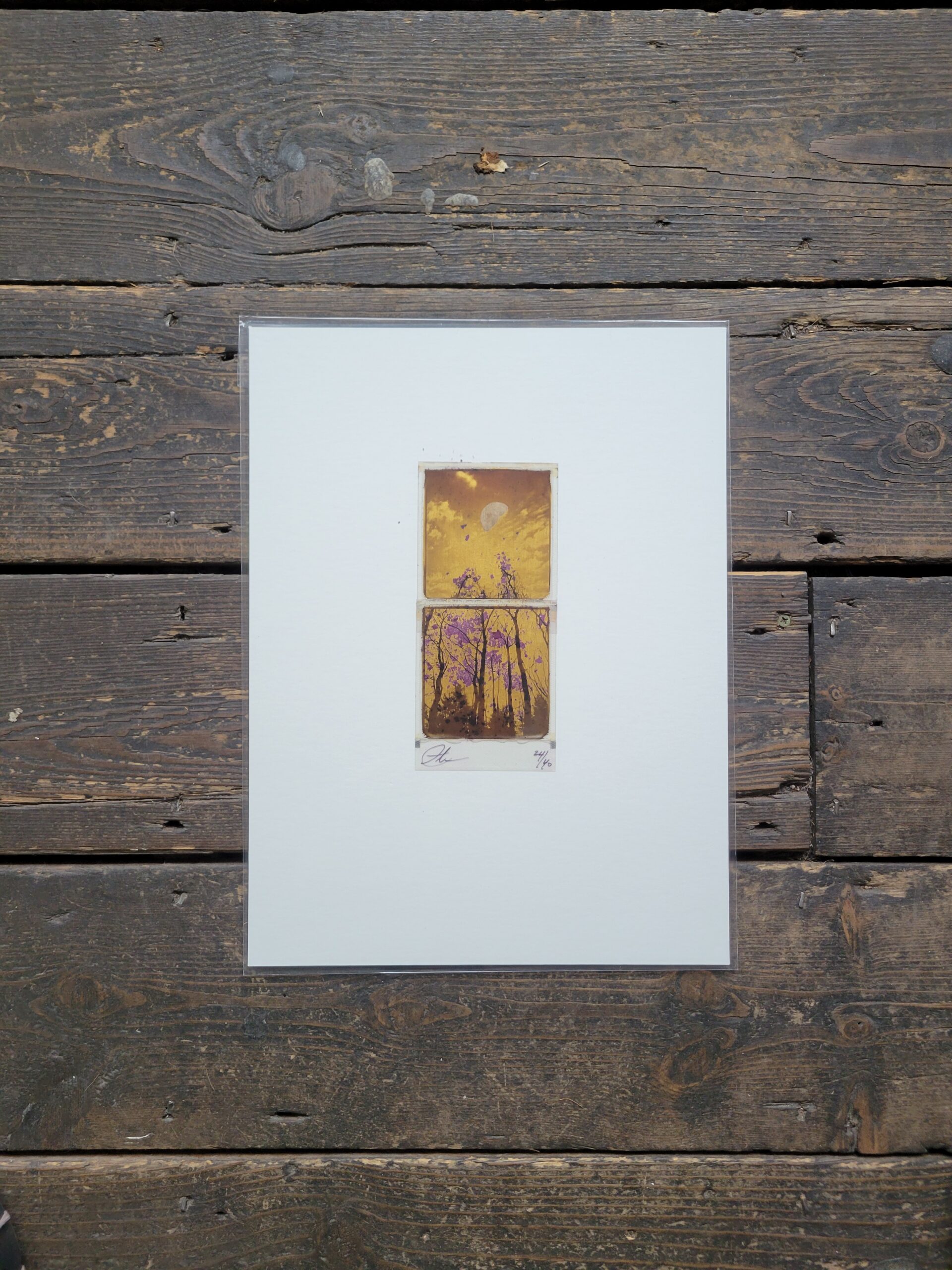 Splitting Of The Light - Gold by Andrew J Millar - Nelly Duff