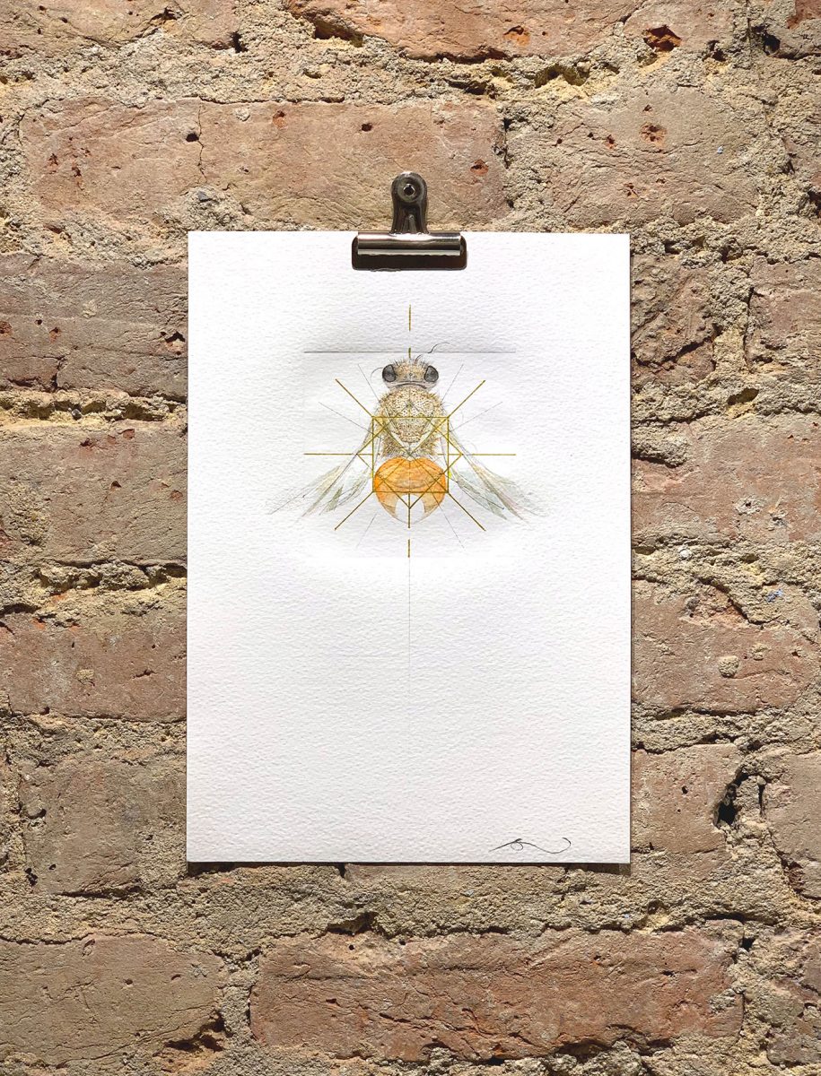 Candy Coloured Bee - Iridescent Insect by Jessica Albarn - Nelly Duff