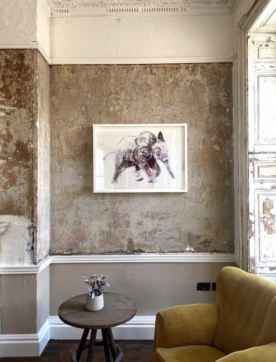 Young Elephant II by Dave White - Nelly Duff