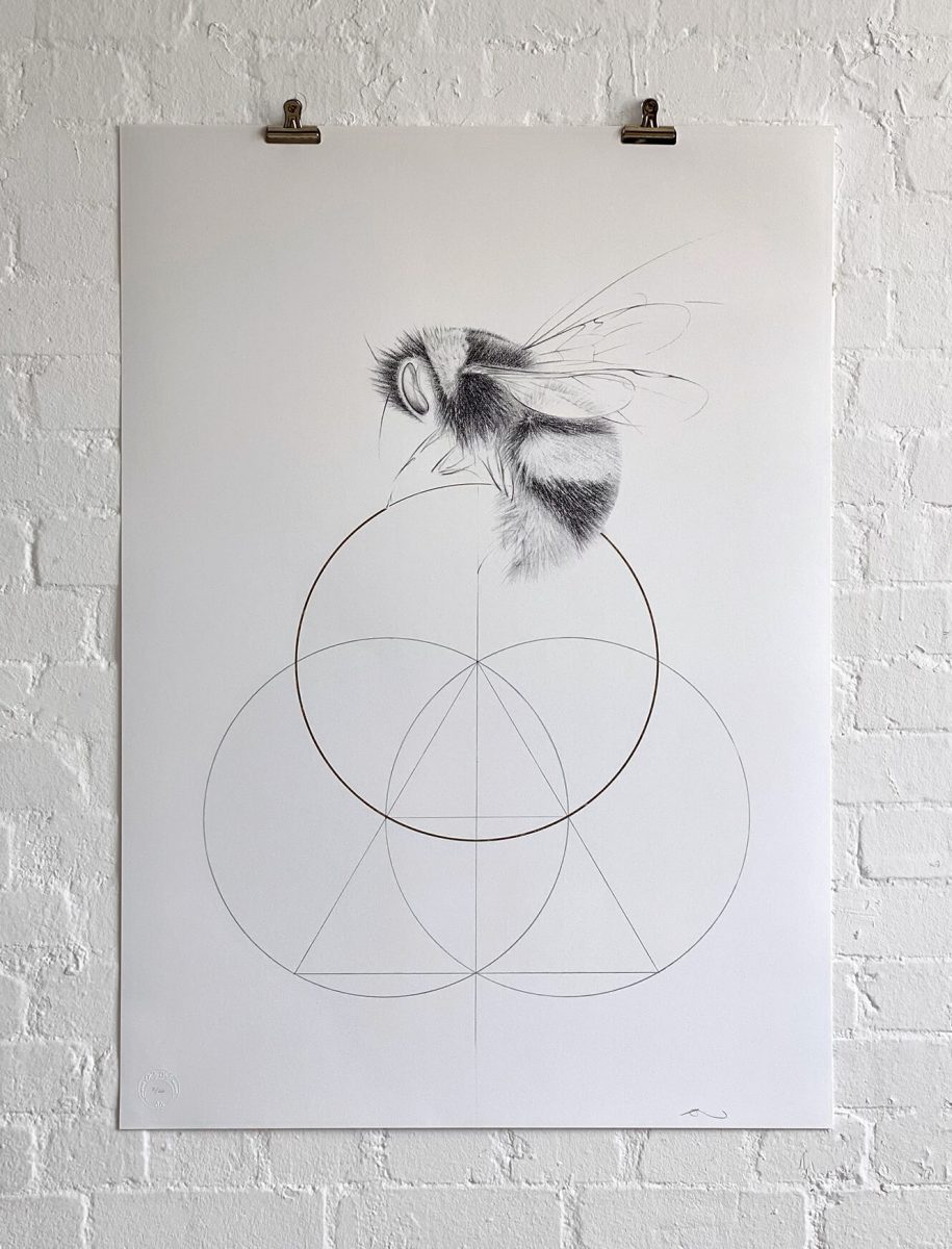 The Bee And The Golden Circle by Jessica Albarn - Nelly Duff