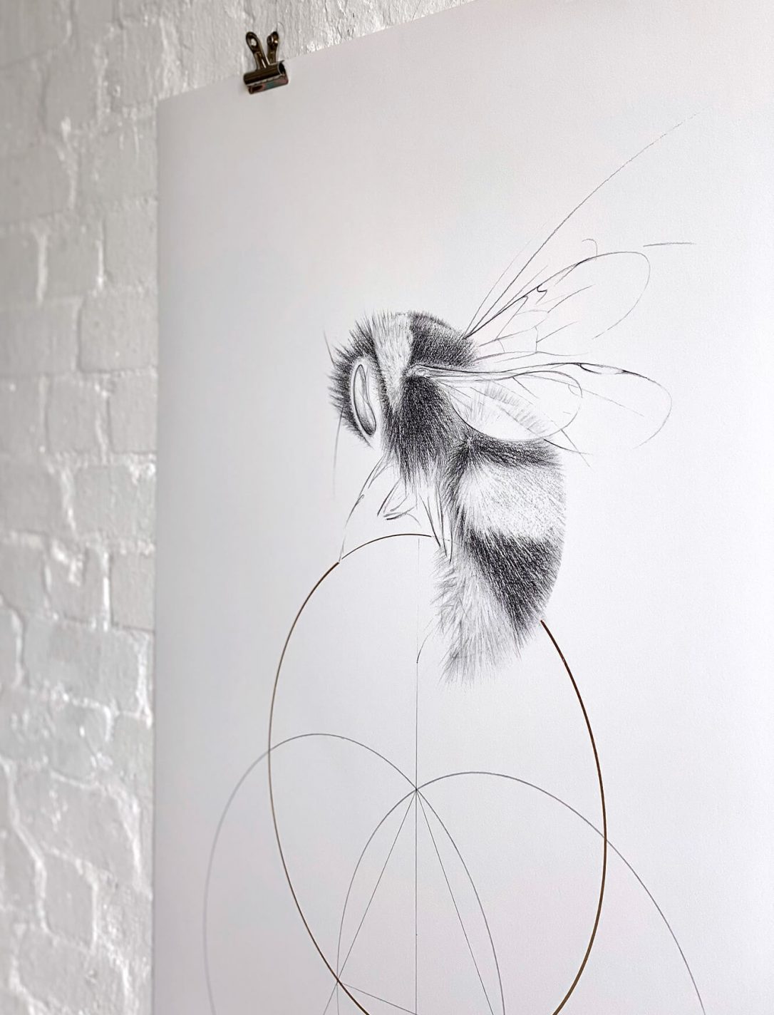 The Bee And The Golden Circle by Jessica Albarn | Nelly Duff