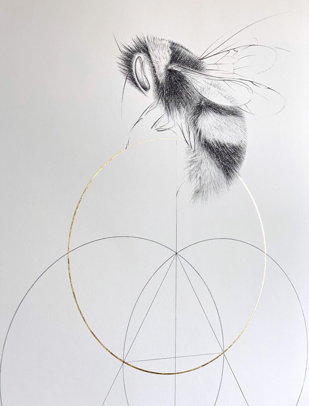 The Bee And The Golden Circle by Jessica Albarn - Nelly Duff