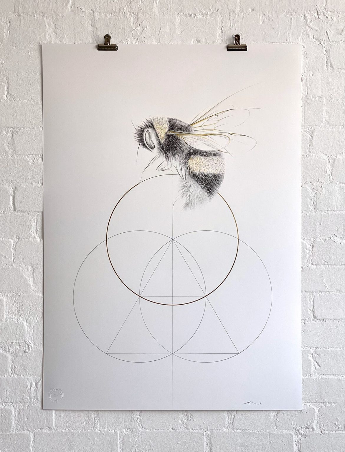 The Bee And The Golden Circle - Hand Finished by Jessica Albarn - Nelly ...