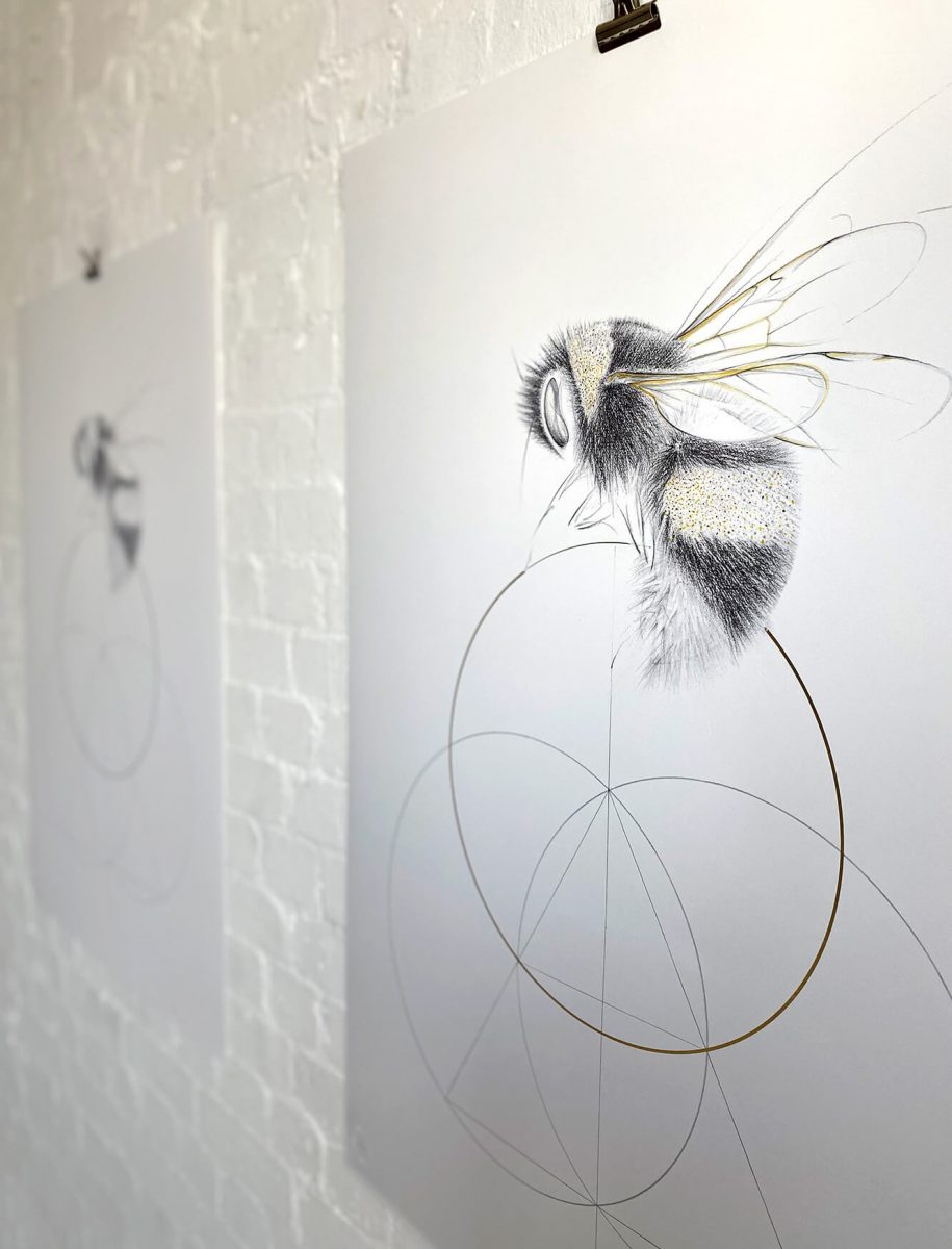 The Bee And The Golden Circle by Jessica Albarn - Nelly Duff