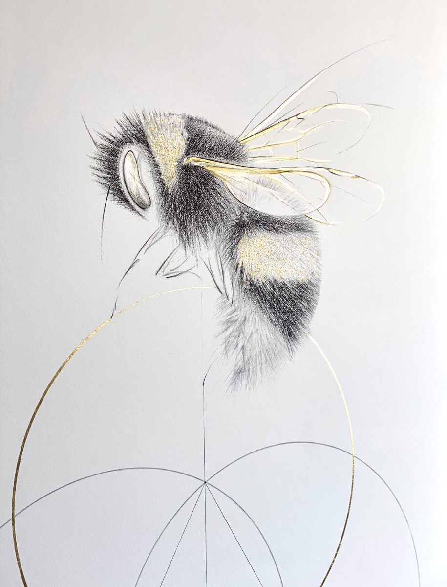The Bee And The Golden Circle - Hand Finished by Jessica Albarn - Nelly ...