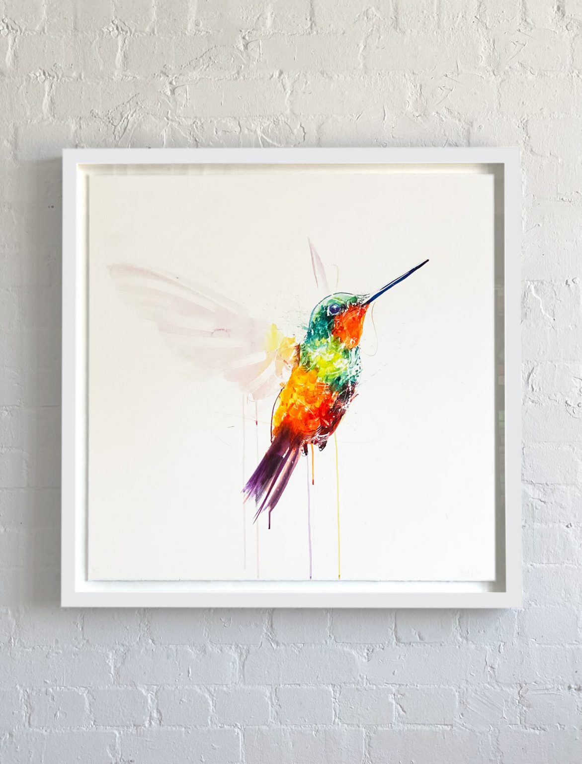 Hummingbird IX - Standard by Dave White - Nelly Duff