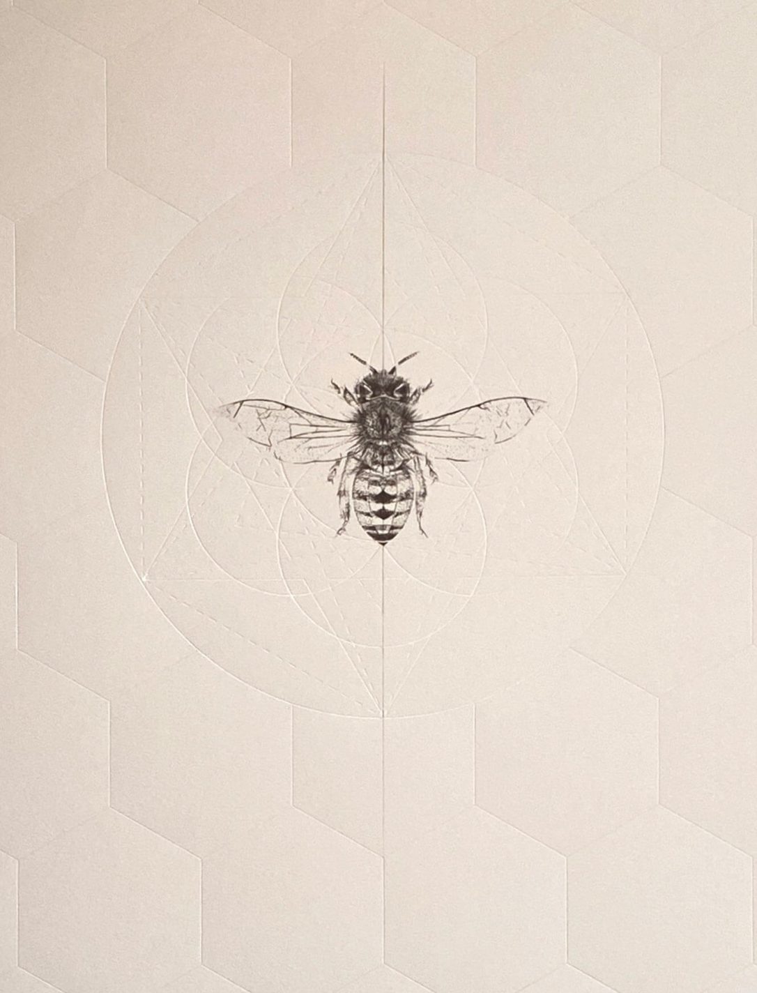 Honey Bee Prism - Clear Star, Clear Circle and Clear Hexagon by Jessica ...